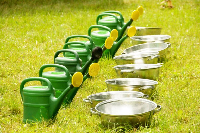 Lime Spreader Settings Scotts - The Ultimate Guide